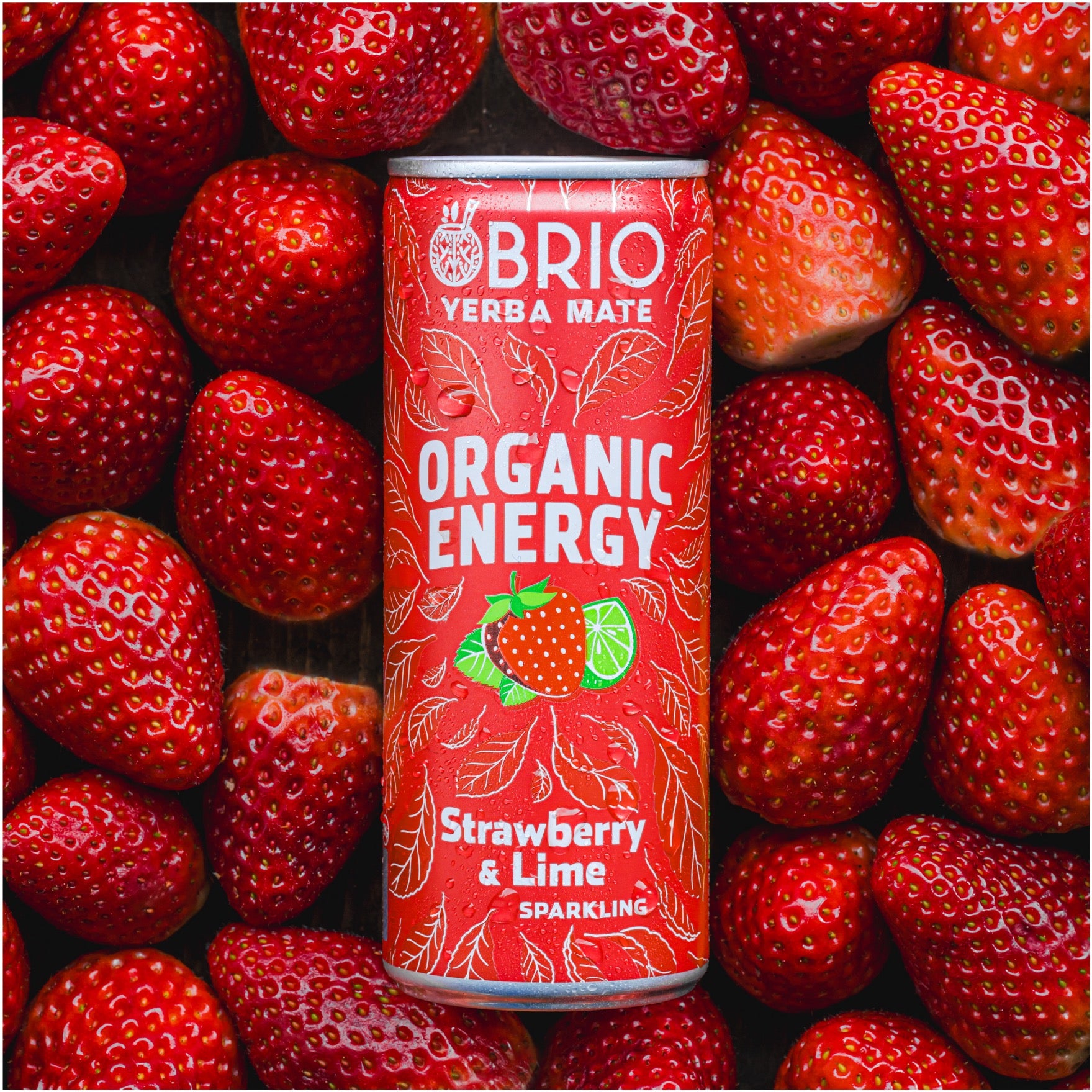 Organic Energy Tea Strawberry | Powered by Yerba Mate | BRIO – BRIO ...