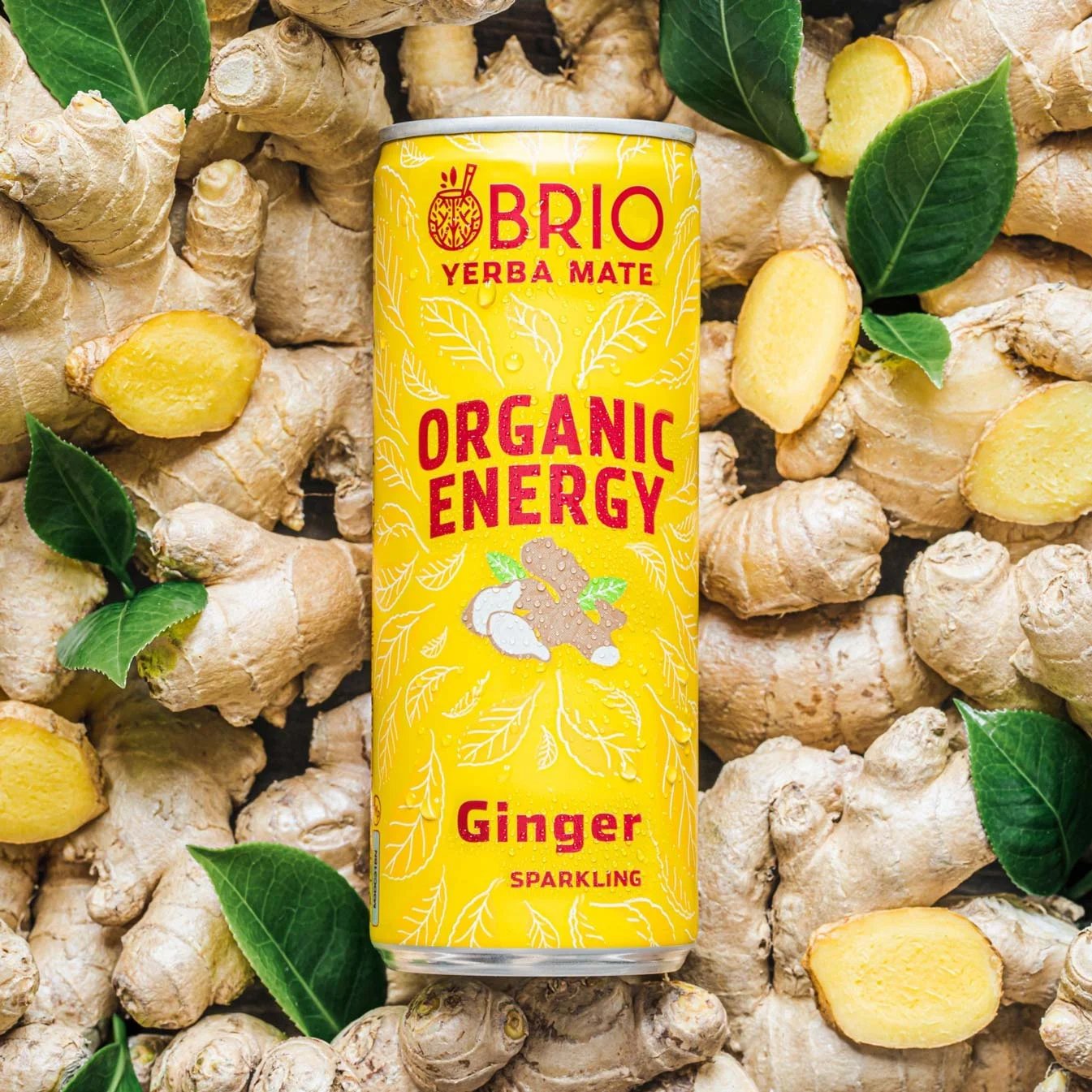 Organic Energy Tea Ginger | Powered by Yerba Mate | BRIO – BRIO Natural ...